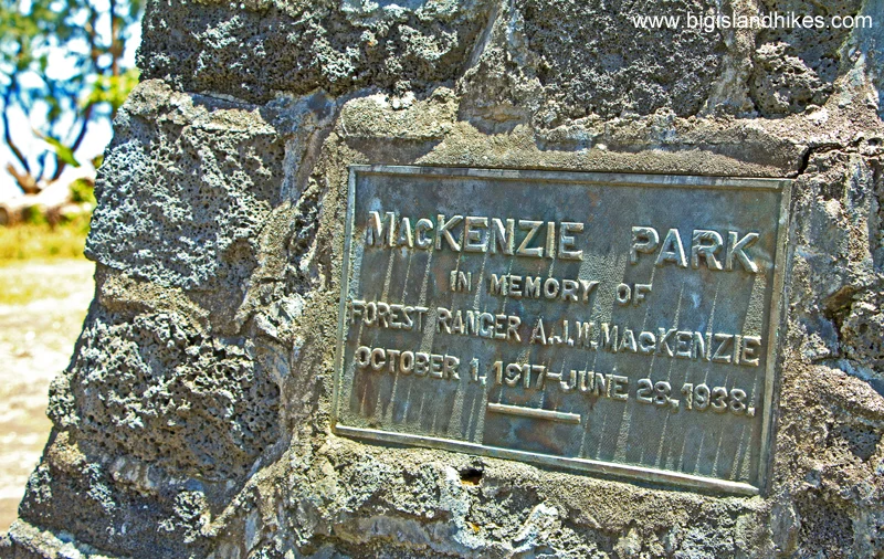 MacKenzie State Recreation Area — Big Island Hikes