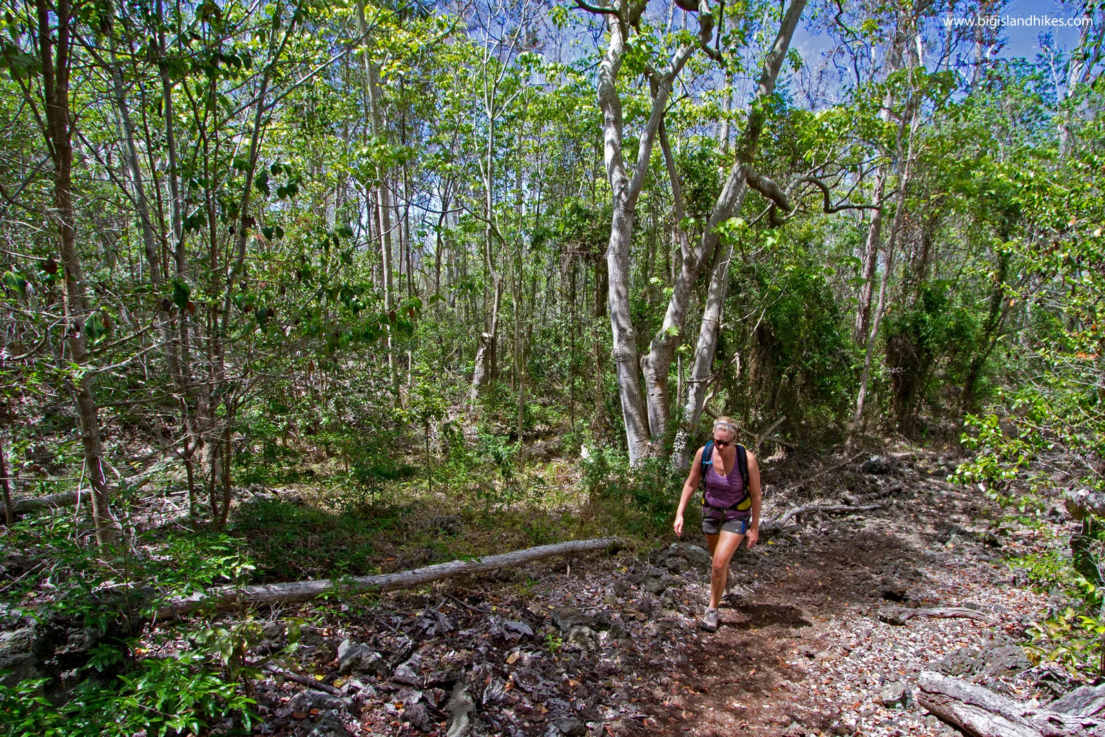 Manukā State Wayside Park — Big Island Hikes