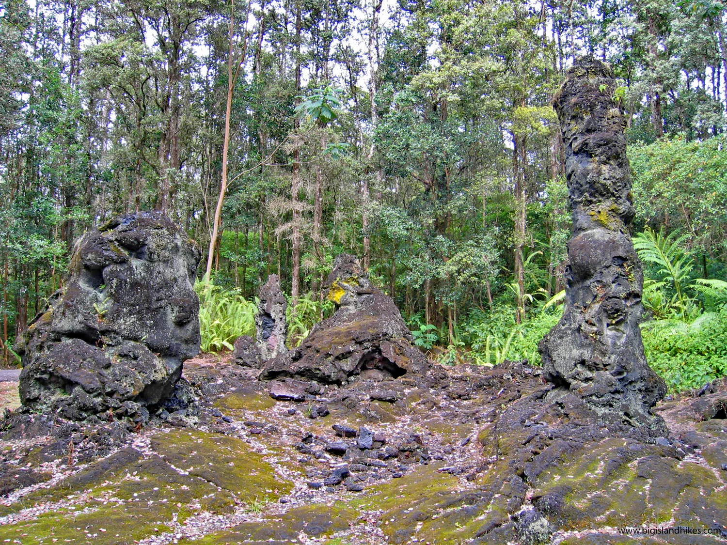 Lava Tree State Monument — Big Island Hikes