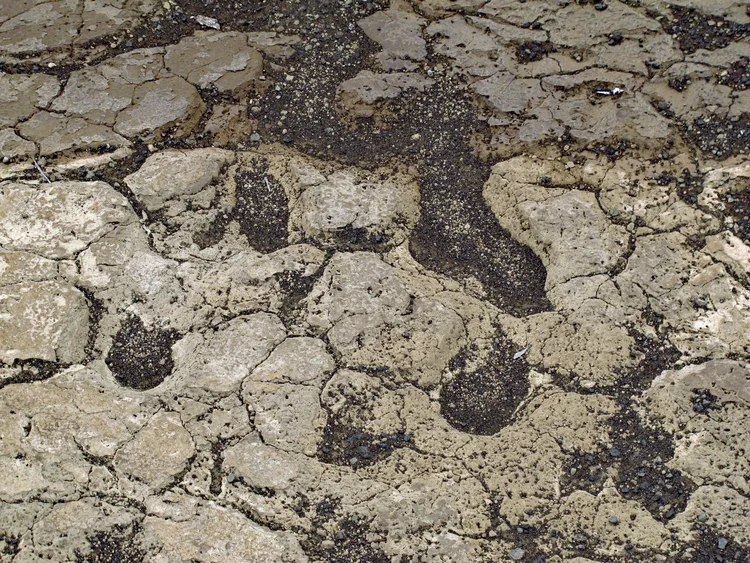 Kaʻū Desert - Footprints Trail — Big Island Hikes
