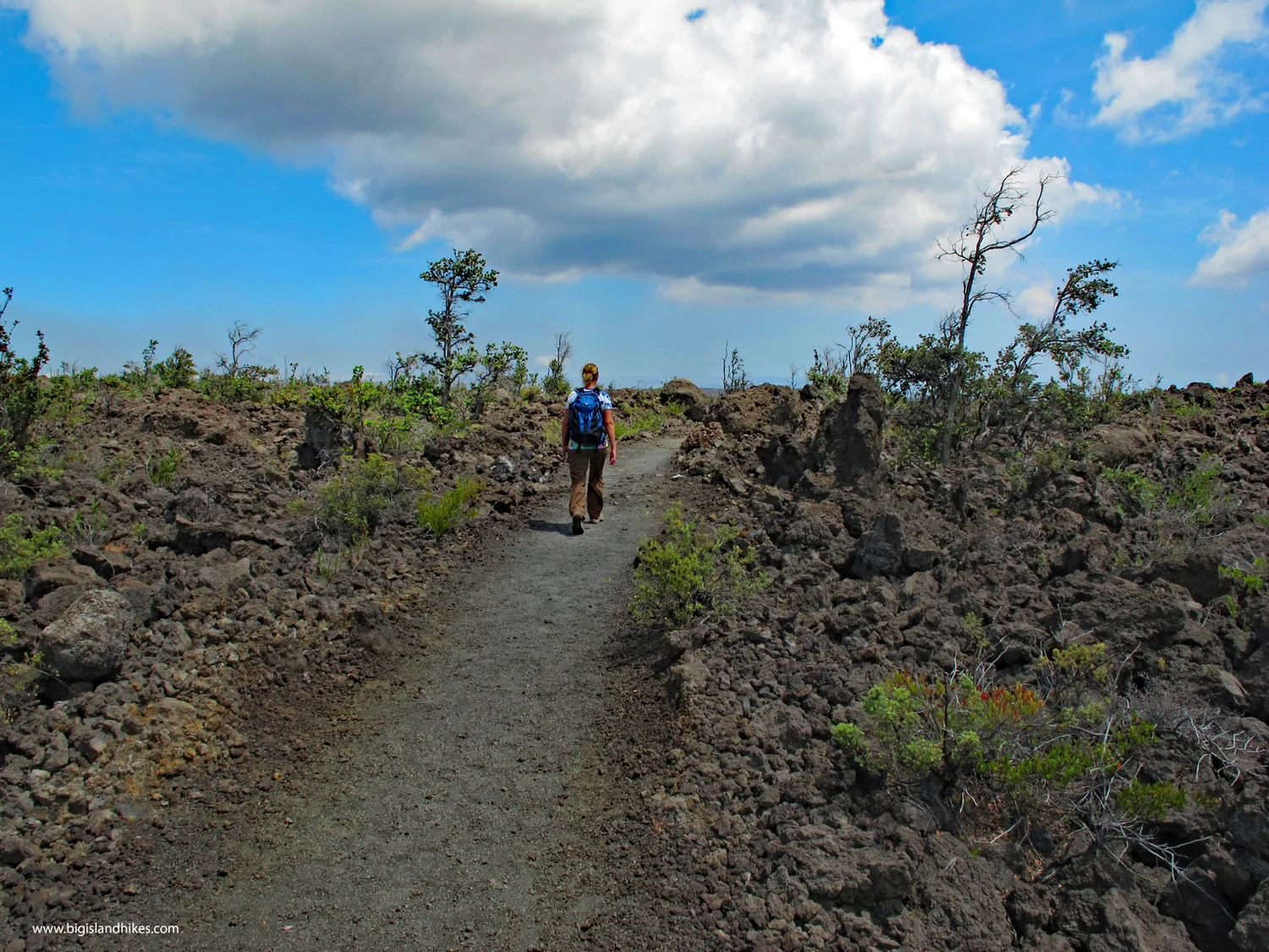 Kaʻū Desert - Footprints Trail — Big Island Hikes
