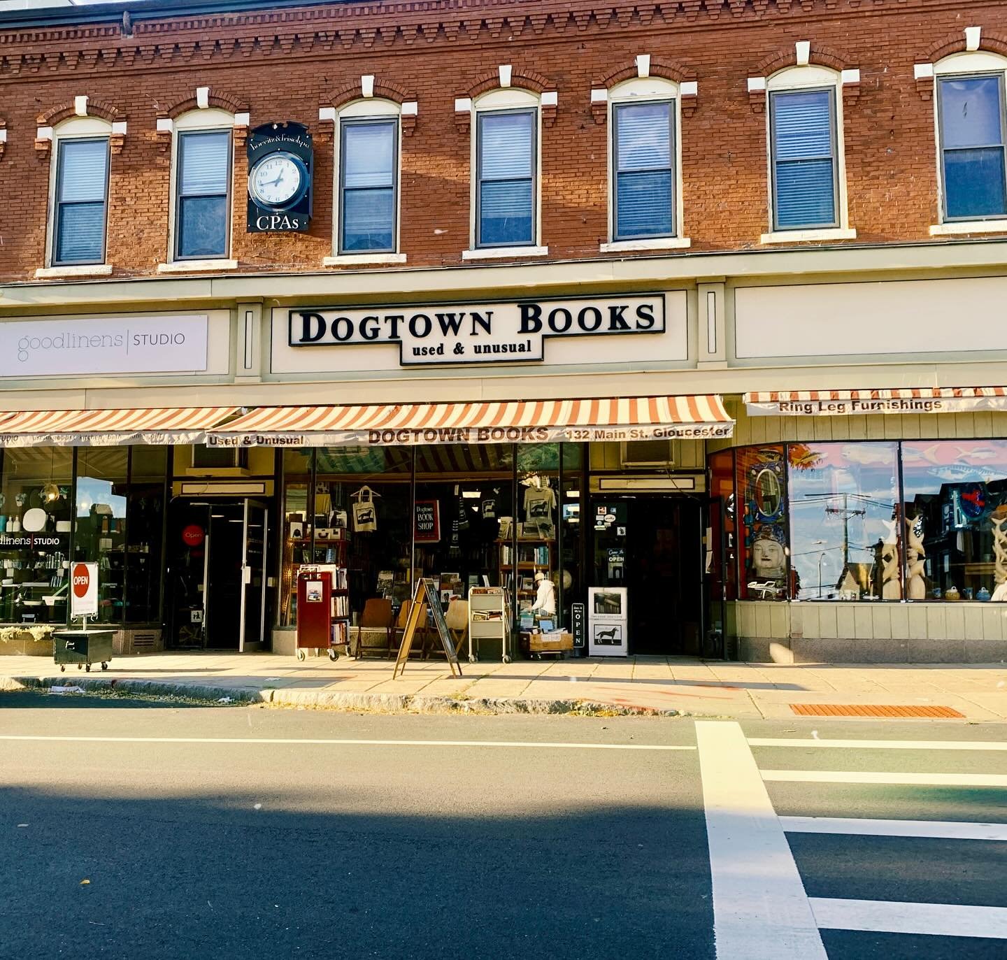dogtown books