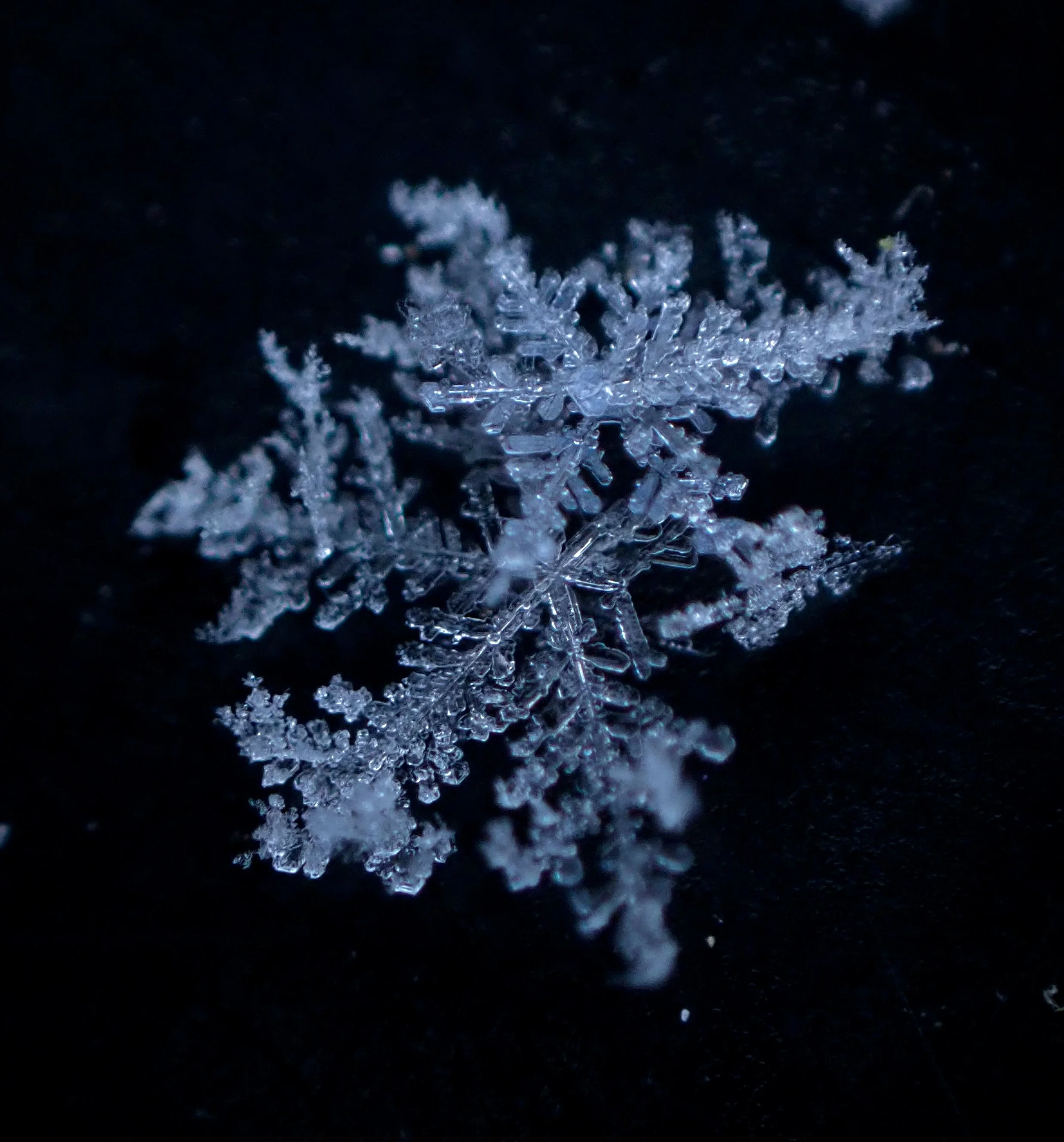 Photography — RiverCraft