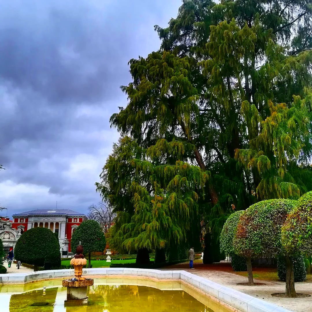 El ahuehute del Retiro — Revive MADRID