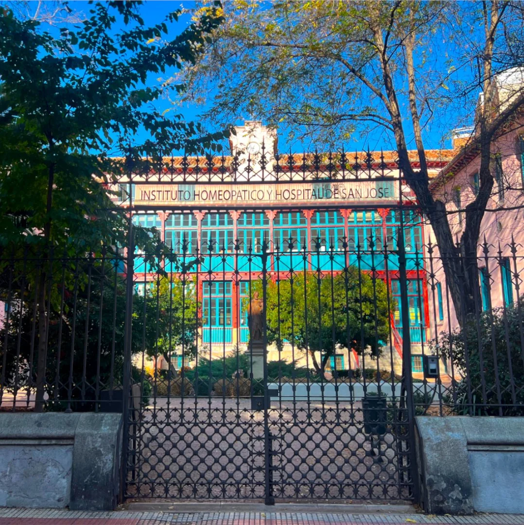 Clara del Rey — Revive MADRID