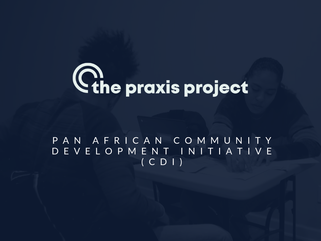 Communities Building Power for Health — The Praxis Project