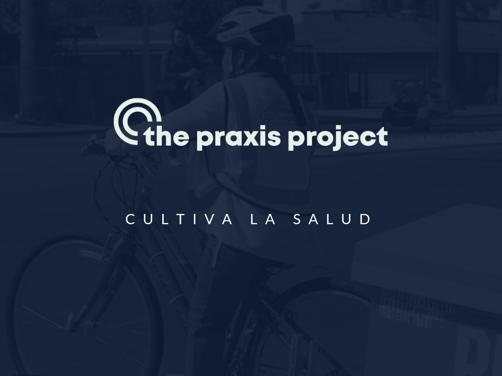 Communities Building Power for Health — The Praxis Project