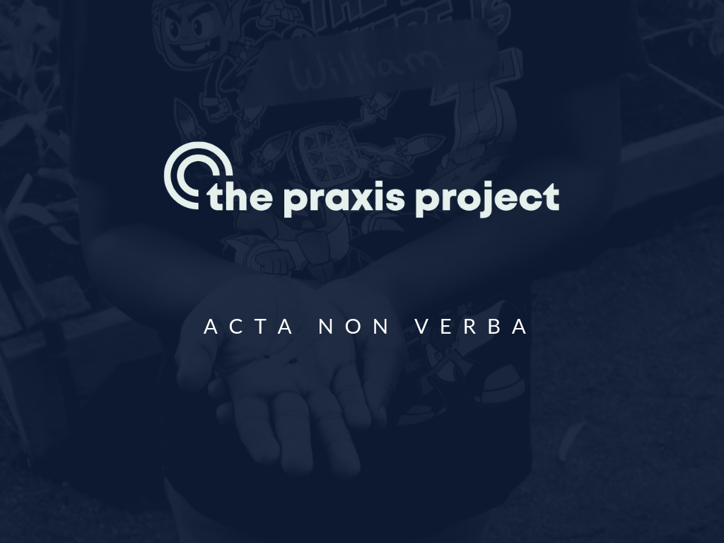 Community Infrastructure — The Praxis Project