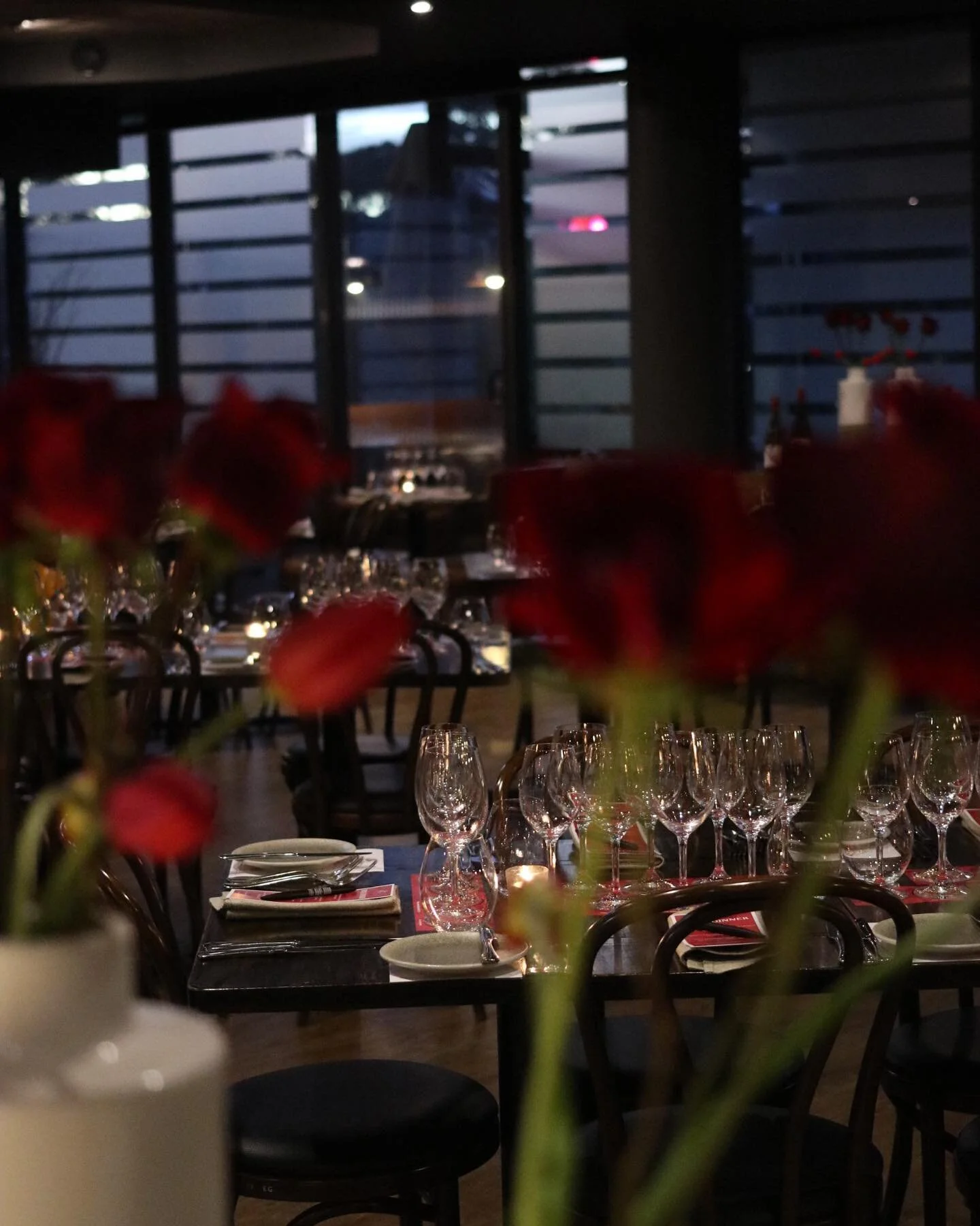 Menu — THE WINE ROOM BALGOWLAH