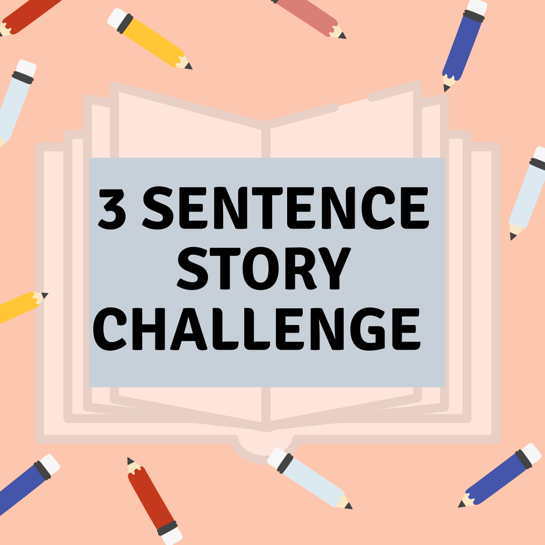 Winter 2020 3 Sentence Story — BASA