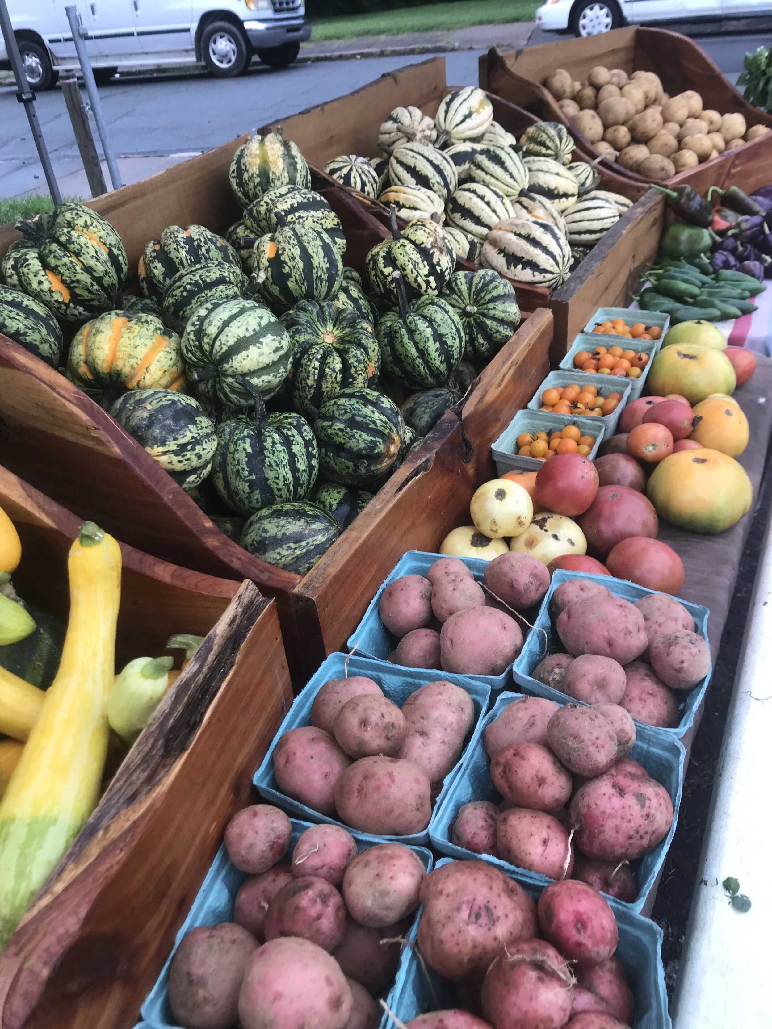 Weekly Newsletter — Cobblestone Farmers Market