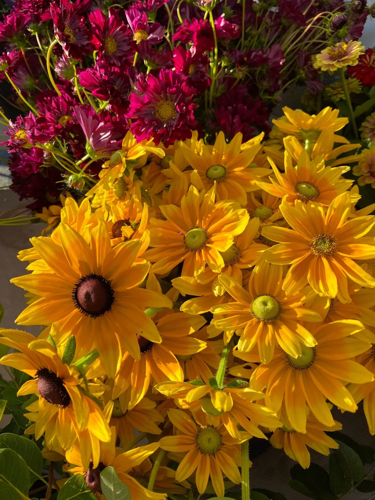 About Us — Cobblestone Farmers Market