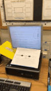 Immersive Reader in a Primary Classroom (part 2) — @TheMerrillsEDU