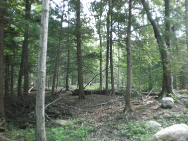 Warren Land Trust | Land Preservation | Warren, CT