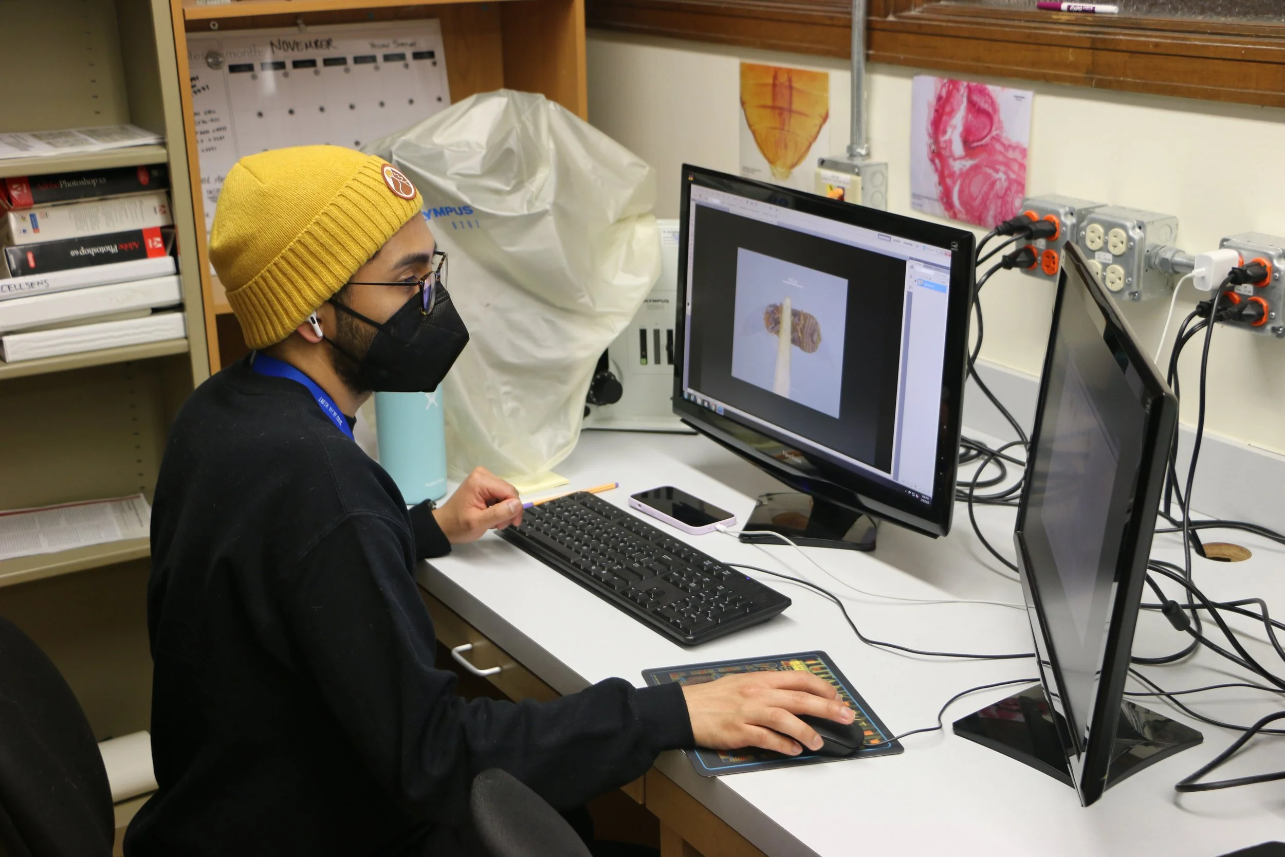 People — INsect FLOWer Visitors Lab