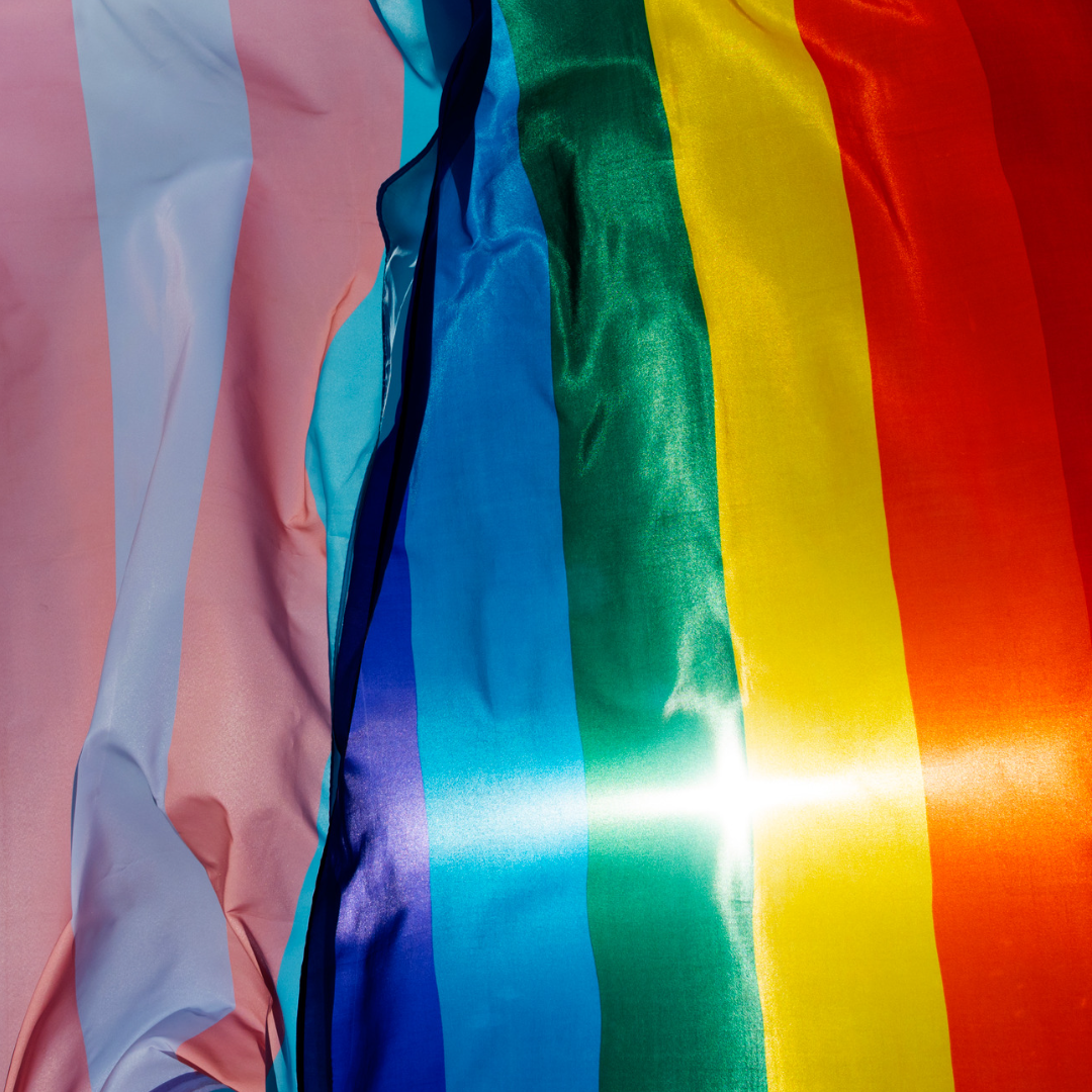 Physical Therapy — Kate Bailey