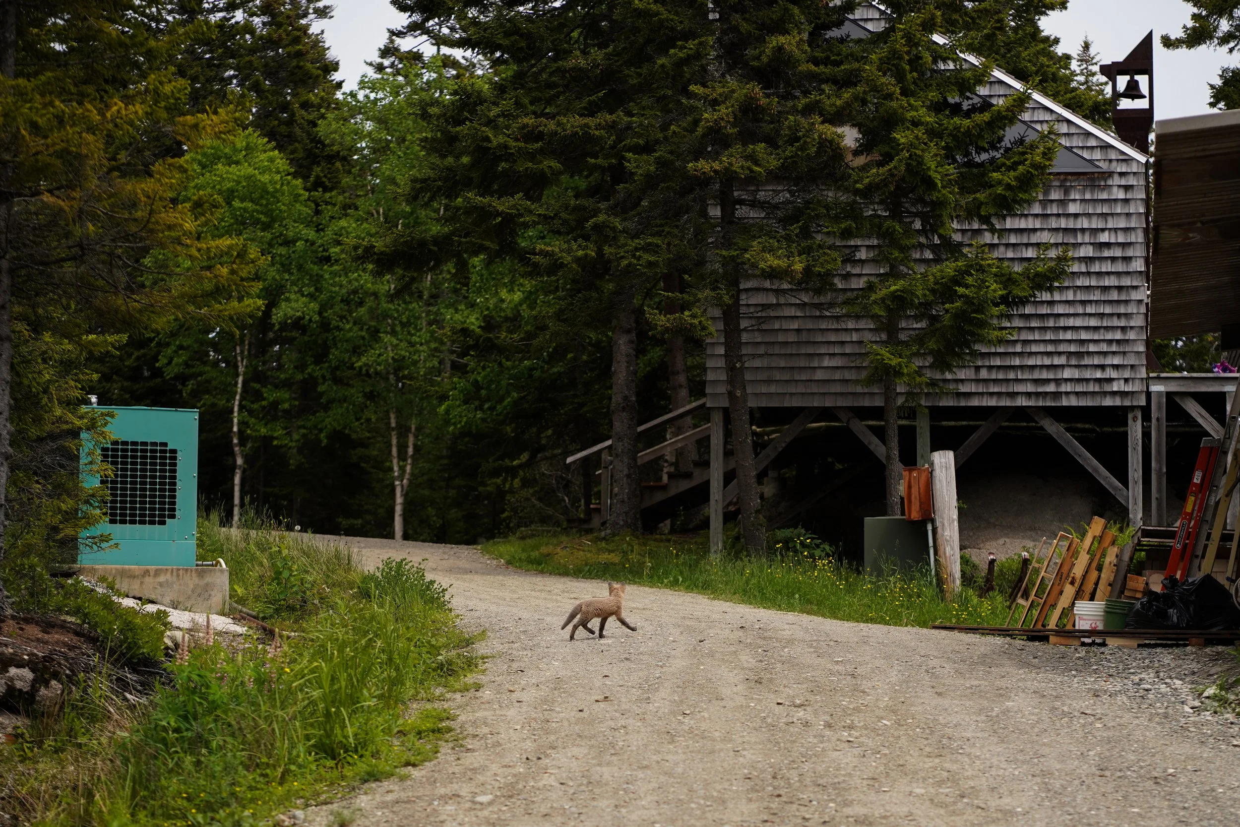 Open Studio Residency — Haystack Mountain School of Crafts