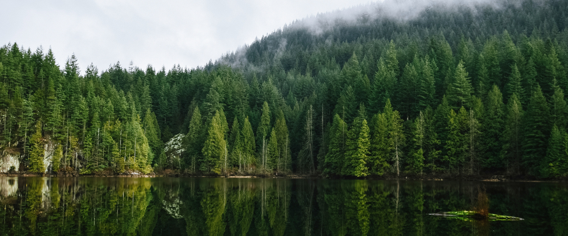 South Street Development Group