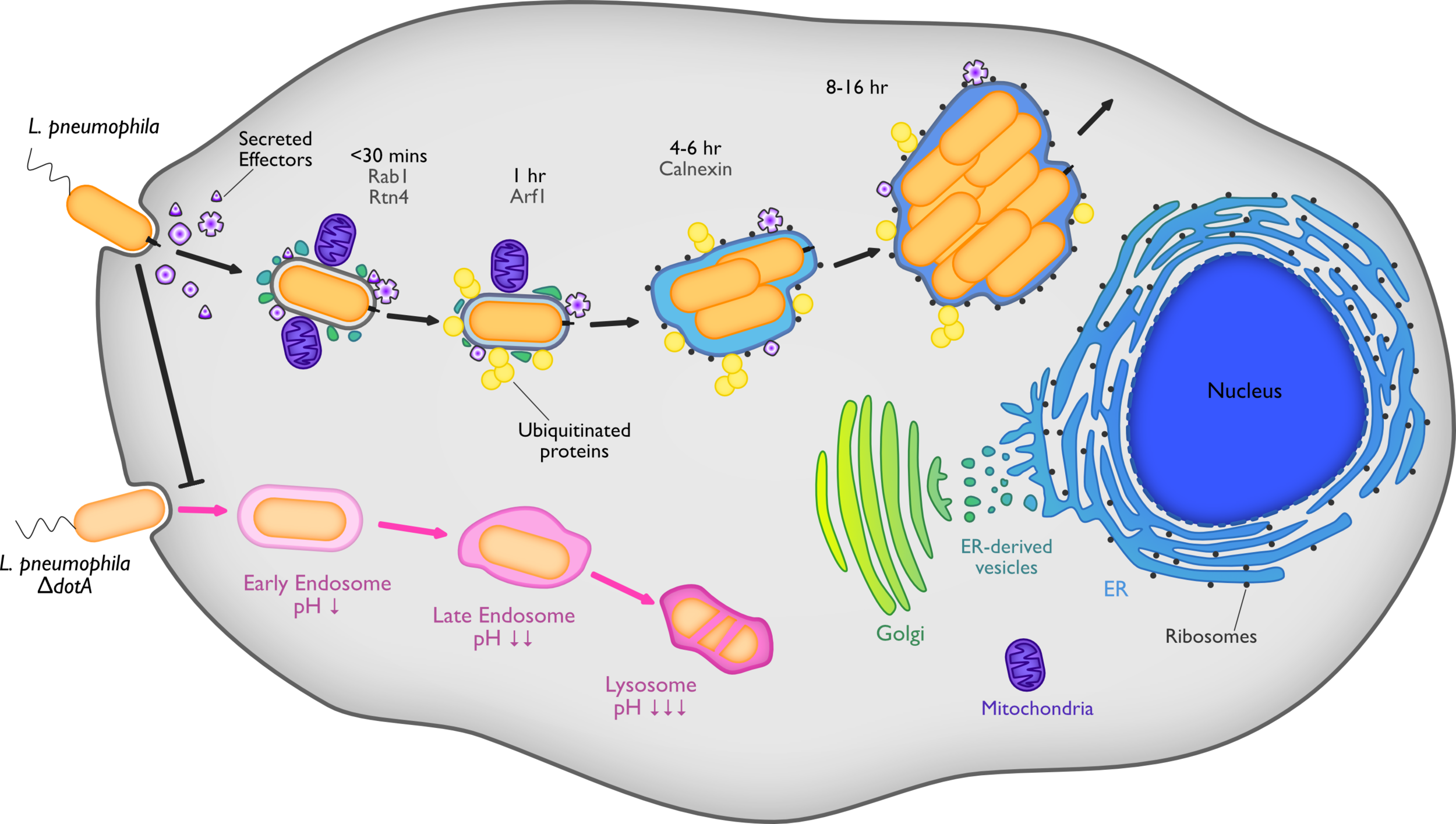 Research — Mukherjee Lab UCSF
