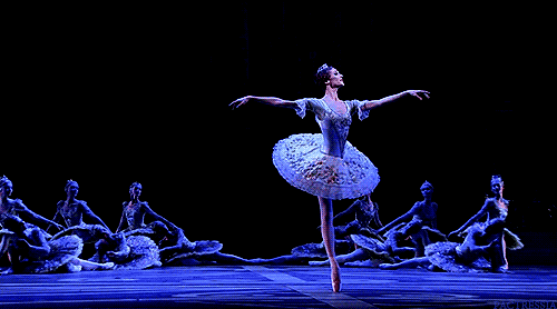 Which ballets should you watch this season? — London Ballet Classes