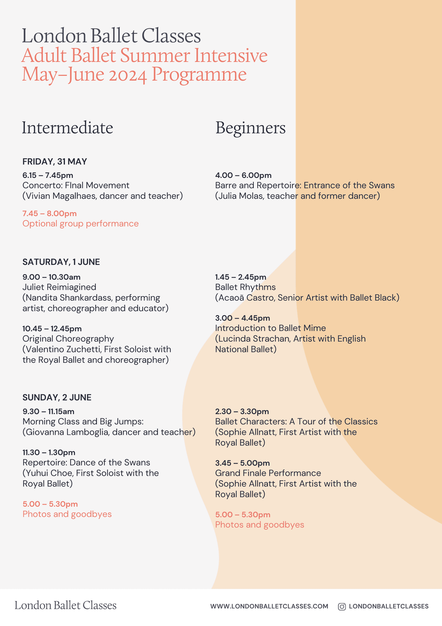 Adult Ballet Weekends | Ballet Intensives in London — London Ballet Classes
