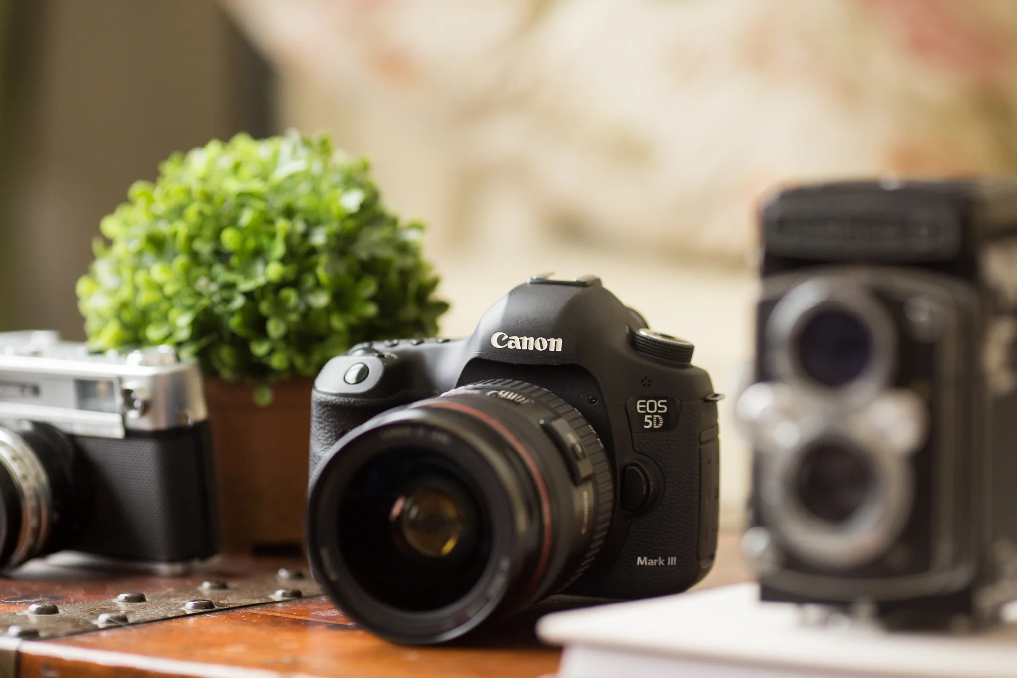 What is AI-Servo and when should you use it (AF-C on Nikon) — Kristin ...