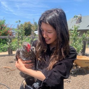 Shayna Moss — Yale Sustainable Food Program