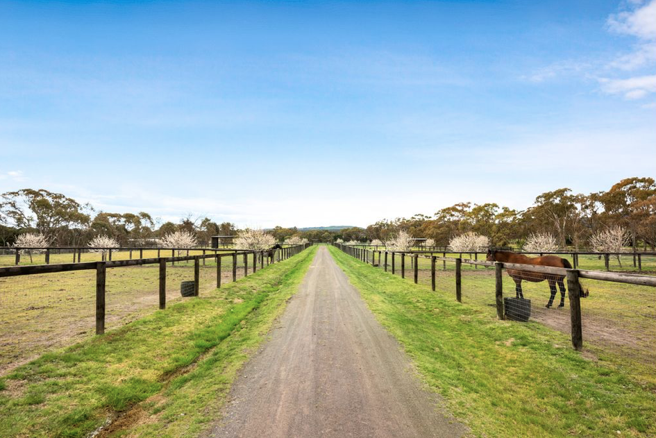 About Longwood — LONGWOOD