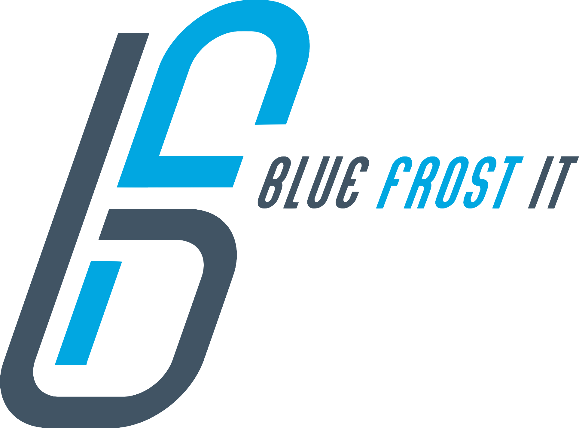 IT Support in Grand Rapids, MI — Blue Frost IT