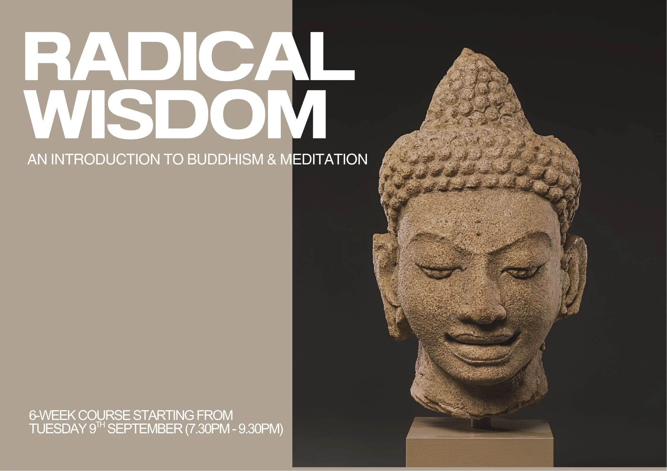 Radical Wisdom: An Introduction to Buddhism & Meditation - 3 (2025 ...