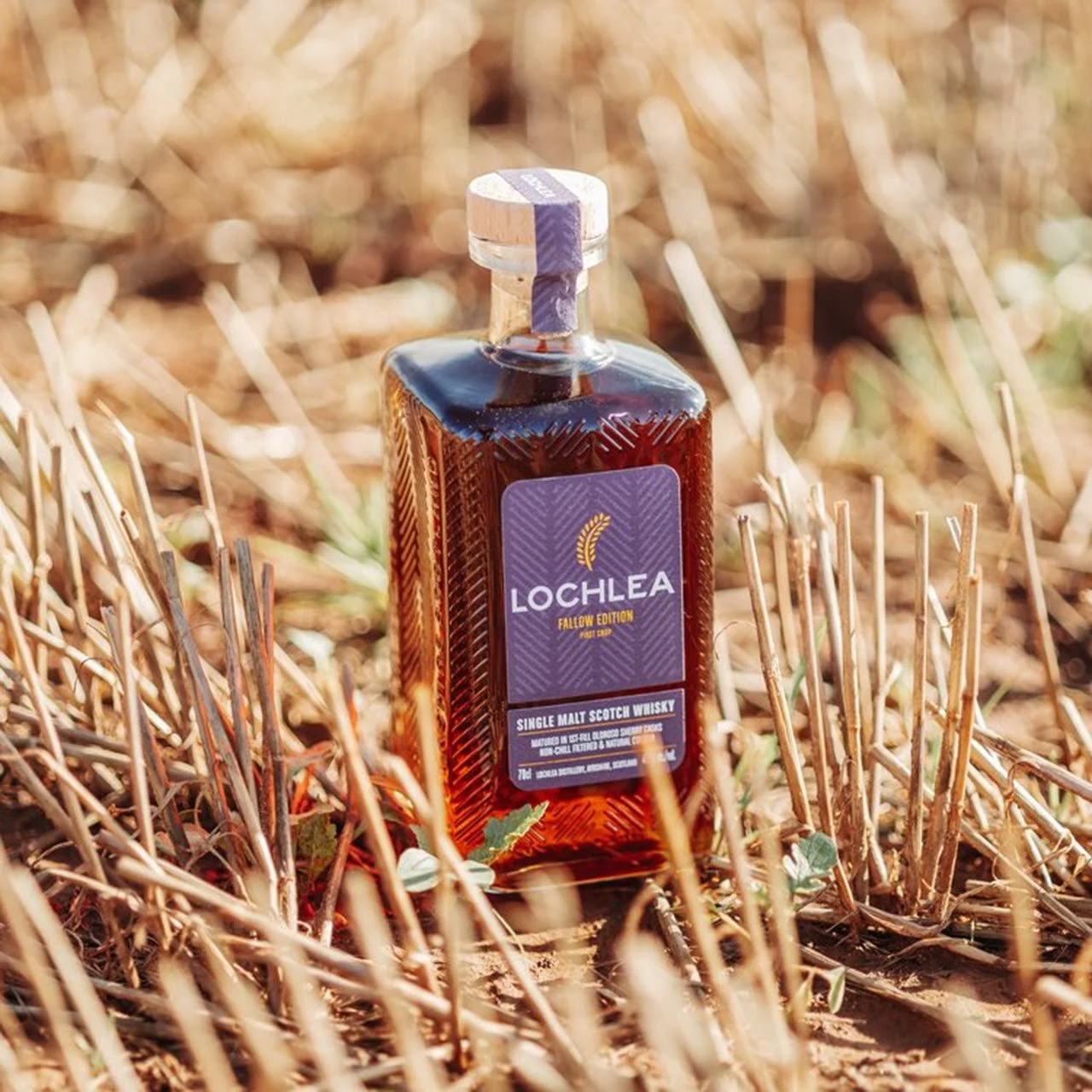 Lochlea Fallow - First Crop — Whisky Saga