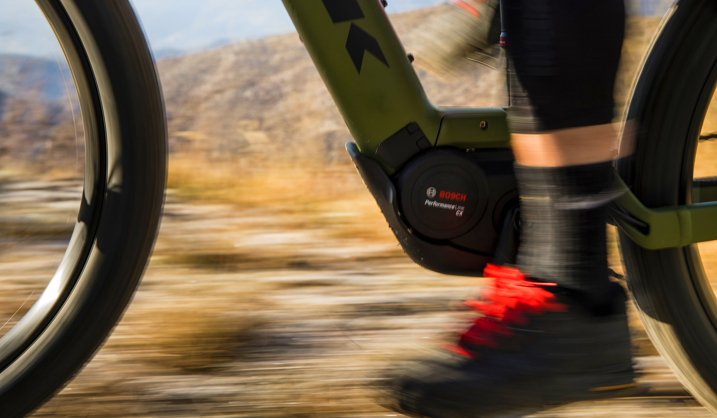 Red Wing Bicycle Co.