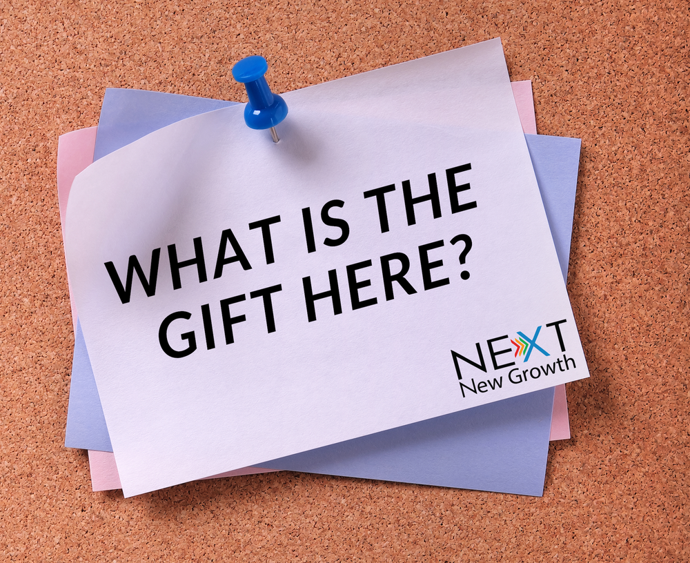How to Overcome Adversity: CFO Coach's "3 Gifts" Technique — NEXT New ...
