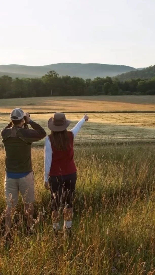 Fly Fishing in Catskills | Beaverkill River Fishing at Beaverkill ...