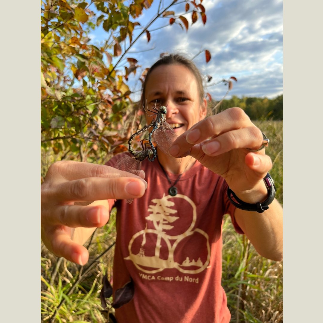 Research Grant Awardees — Dragonfly Society of the Americas