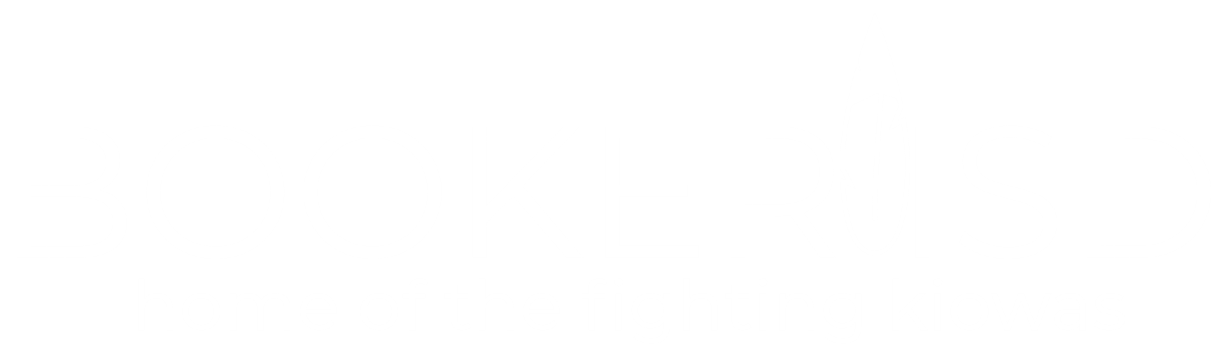 District information — Booker ISD