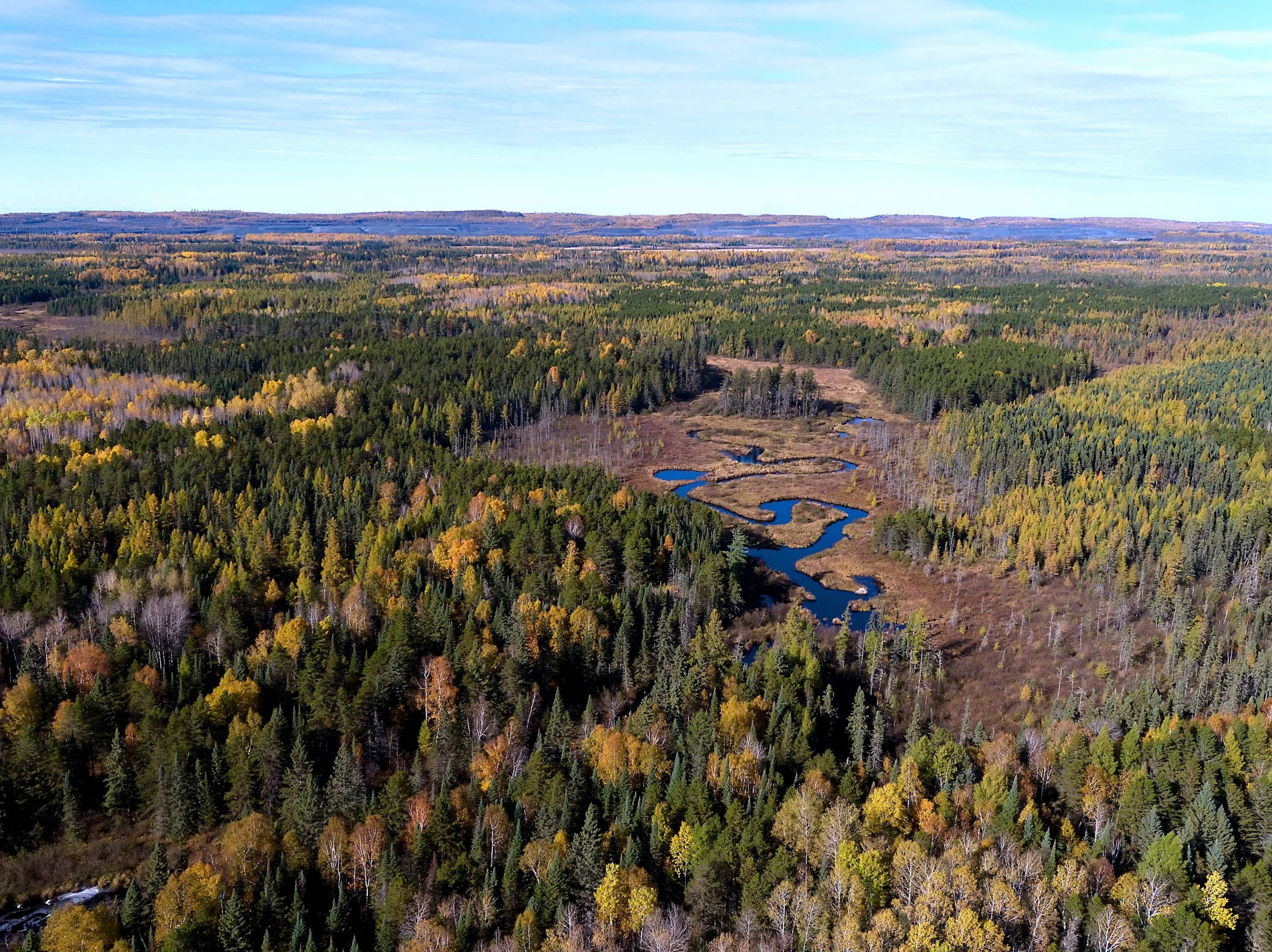 Protect Minnesota's Wetlands from PolyMet — Friends of the Boundary ...
