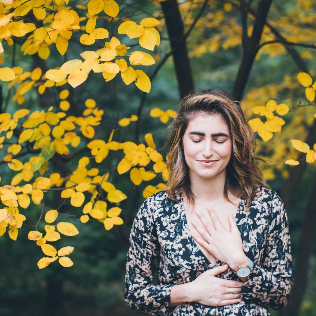 Masterclass library — Danielle Robin