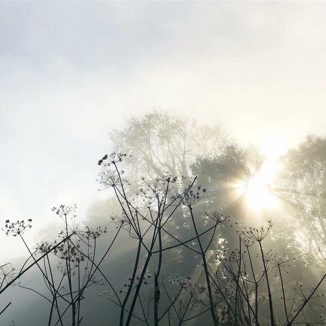 Dr Kate Howells Clinical Psychologist