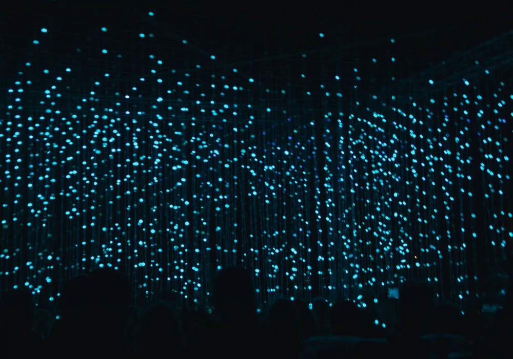 Papers — Syd Shaffer Lab