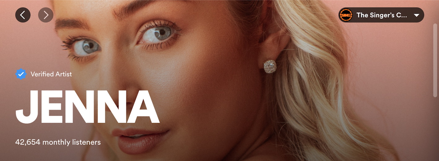 The Singer's Company - Start Your Music Career As A Singer With Us!