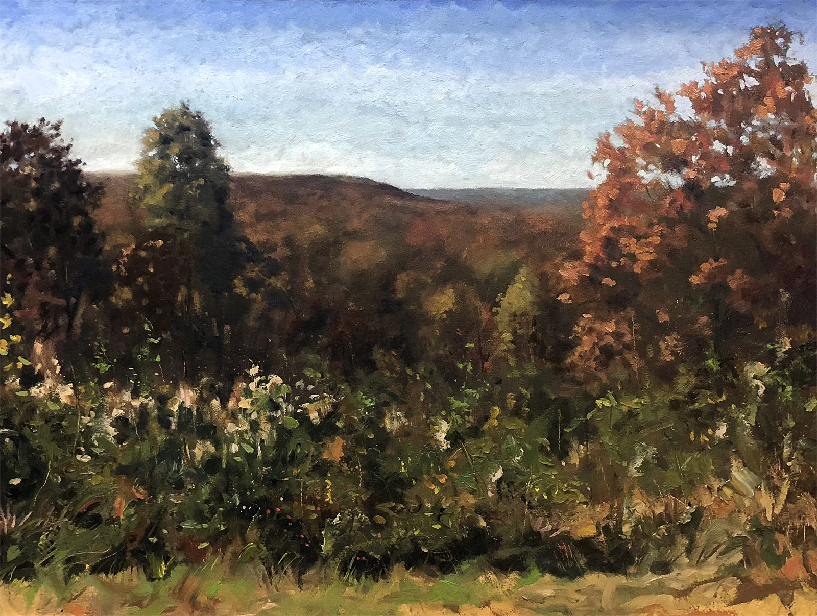 Gallery — Justin Vining