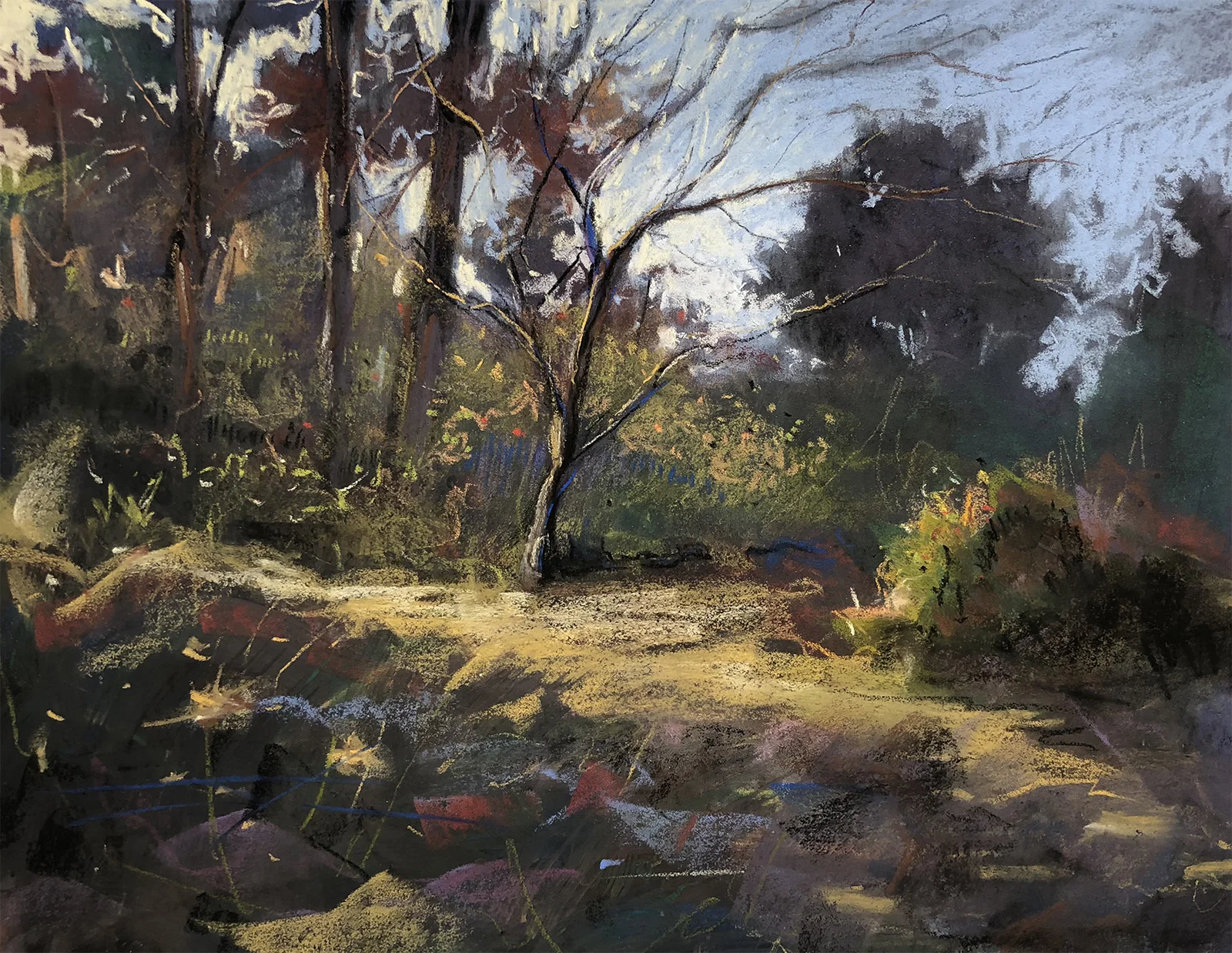 Gallery — Justin Vining