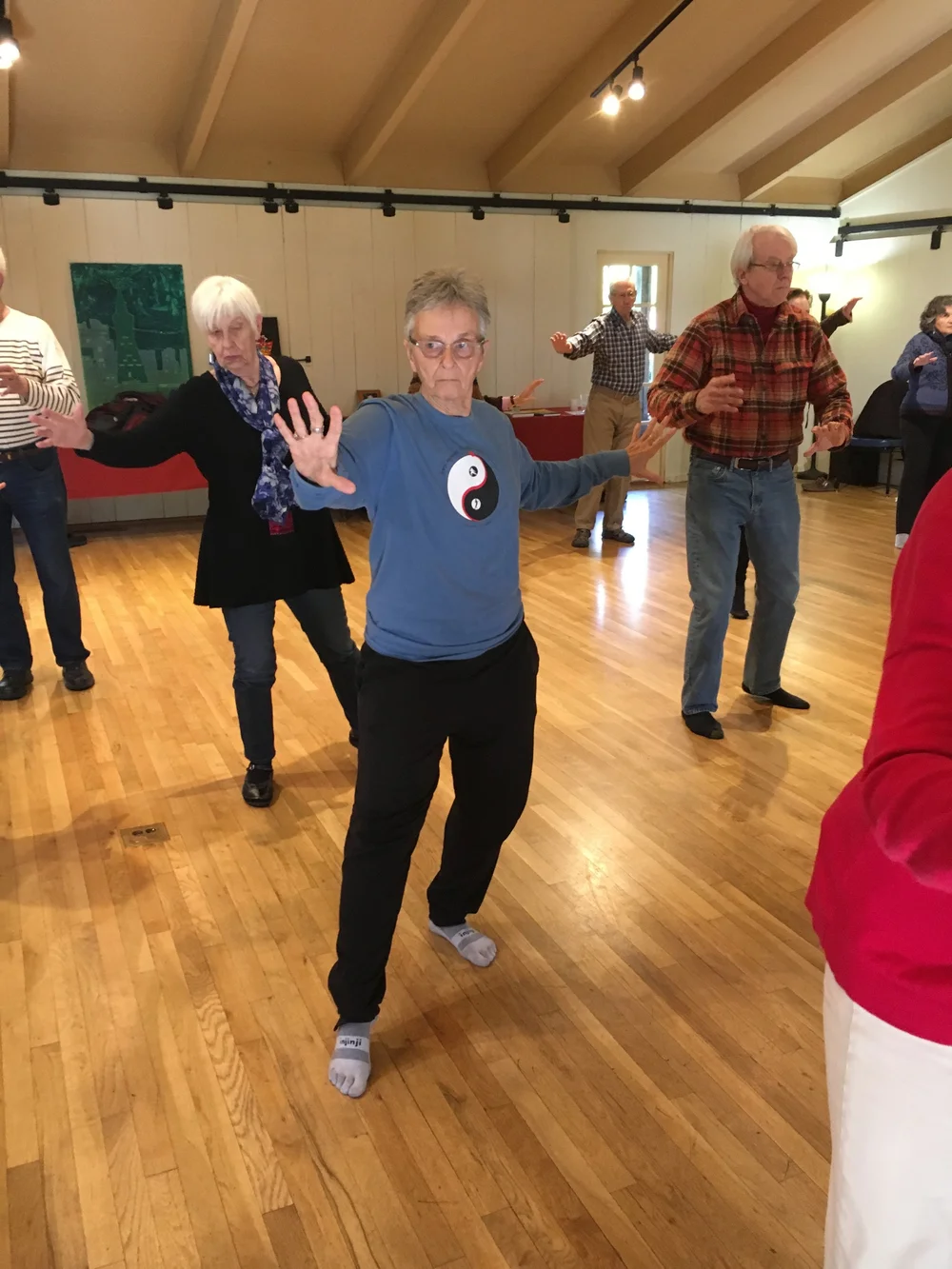 Tai Chi Classes In Virginia — West East Somatics Institute