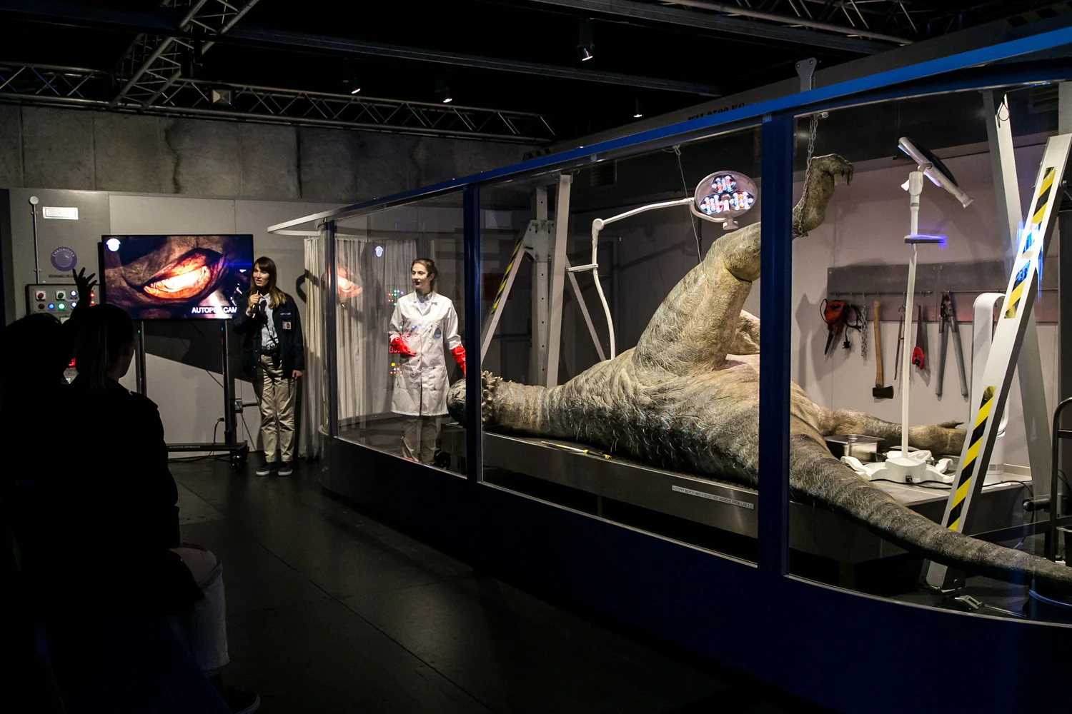 Dinosaurs in the Wild. Travelling exhibition, United Kingdom. — Freeman ...