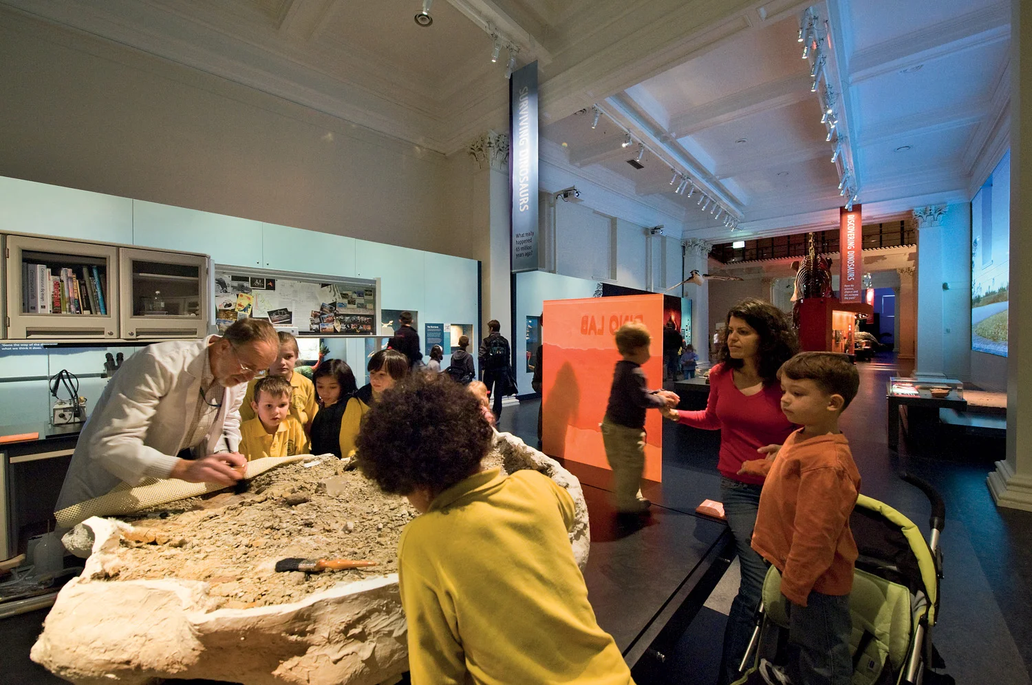 Dinosaurs. Australian Museum, Sydney. — Freeman Ryan Design