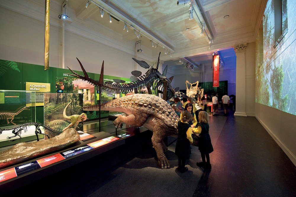 Australian Museum Sydney