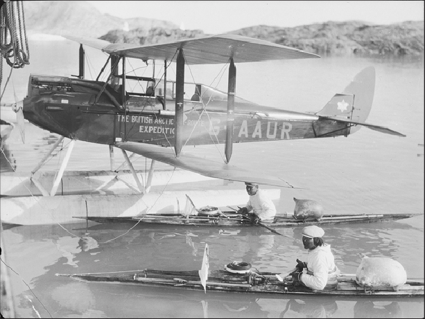 Greenland — Dave KIng