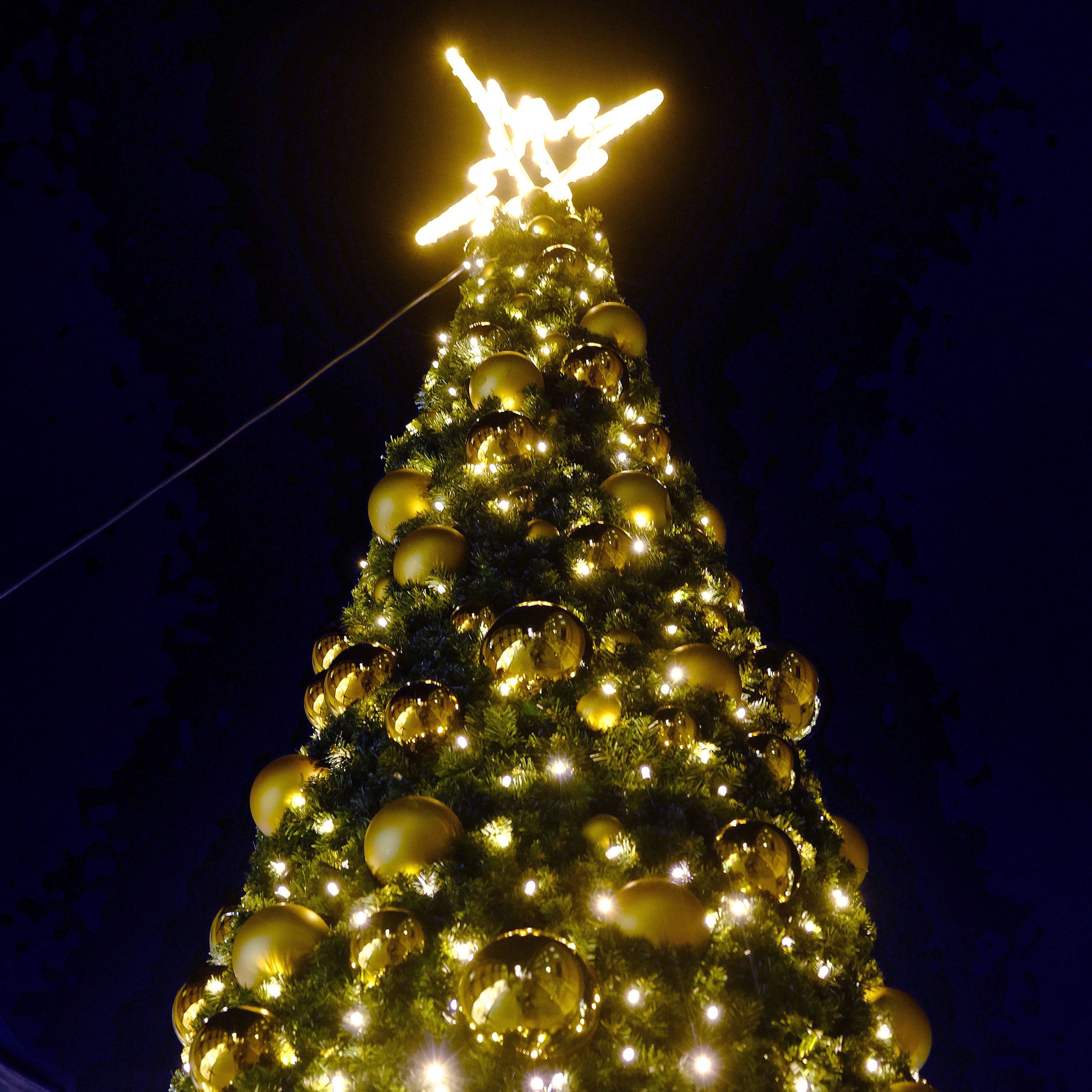 Christmas in Cambridge — Cambridge BID