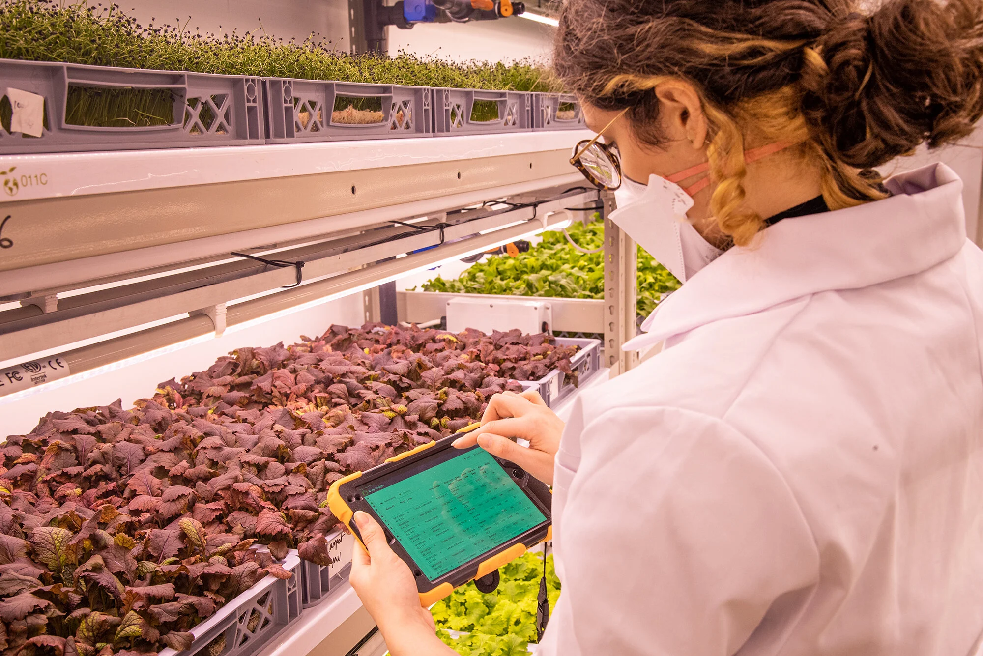 DROP & GROW Aeroponic Container Farm System | LettUs Grow